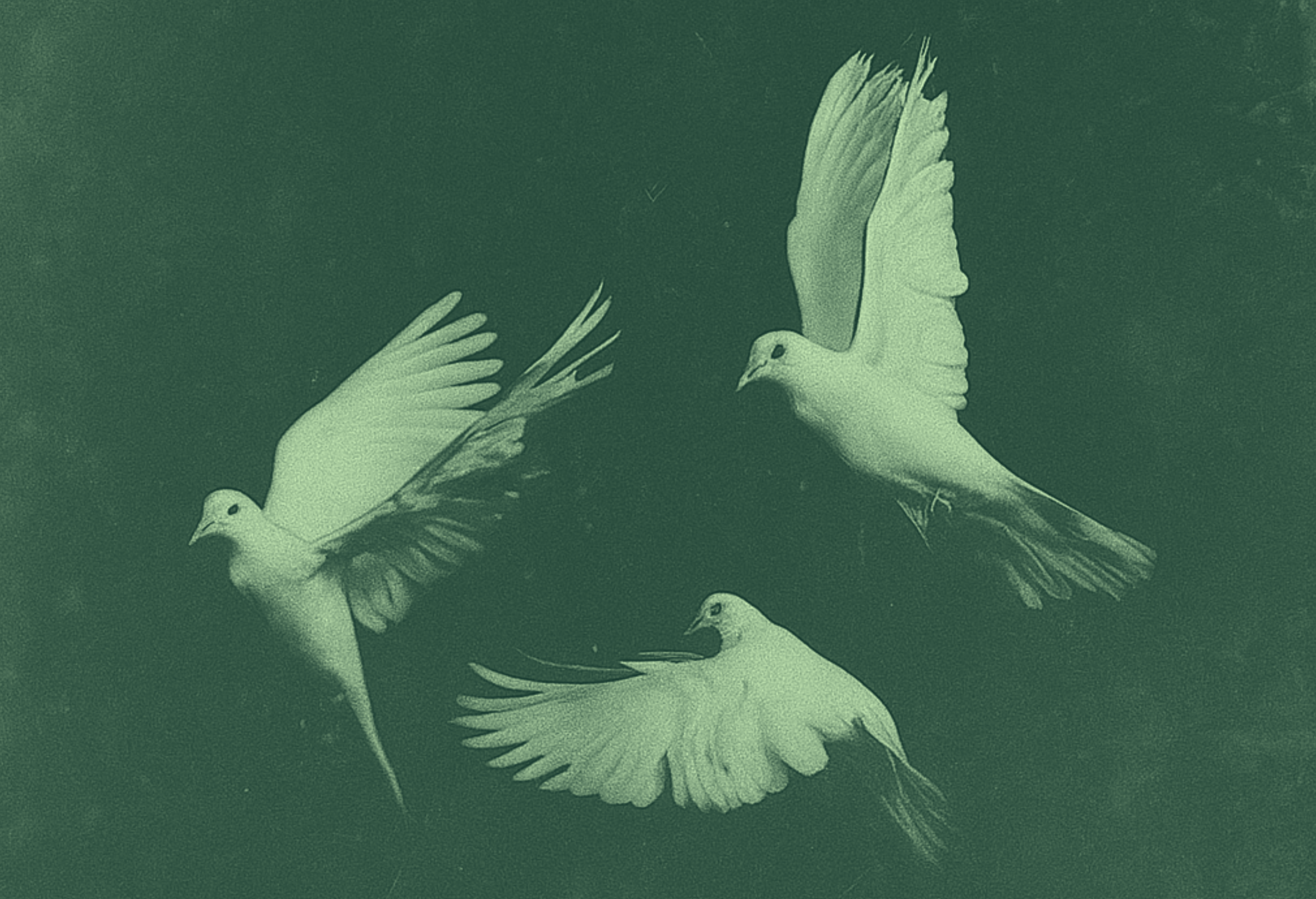 The Wise Agency: Accomplish Consciously, Together | Metalabel